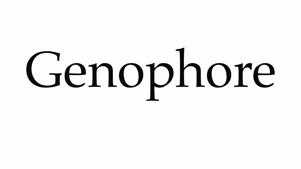 How to Pronounce Genophore - YouTube