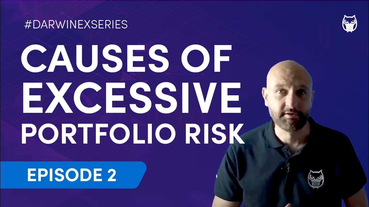 The 2 main causes of Excessive Portfolio Risk | Trading Risk Management ...