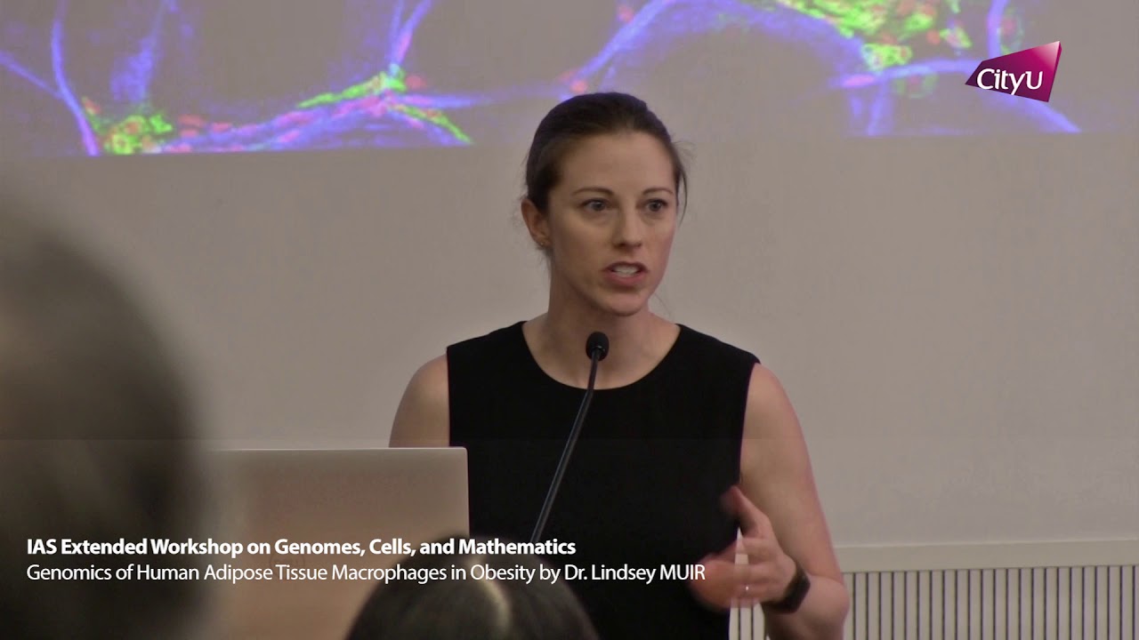 20180711-2 - IAS Extended Workshop by Dr. Lindsey MUIR - YouTube