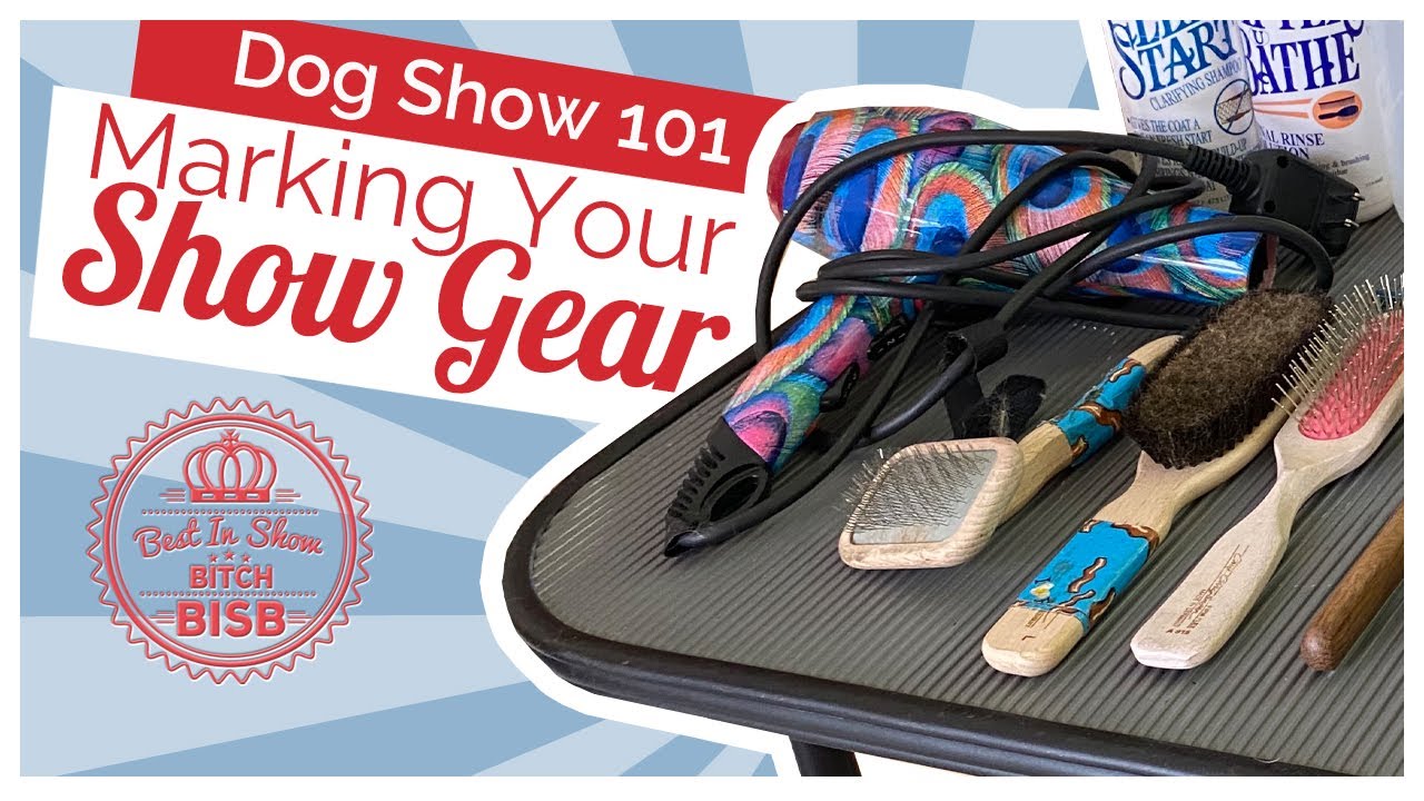 Dog Show 101 - Marking Your Dog Show Gear - YouTube