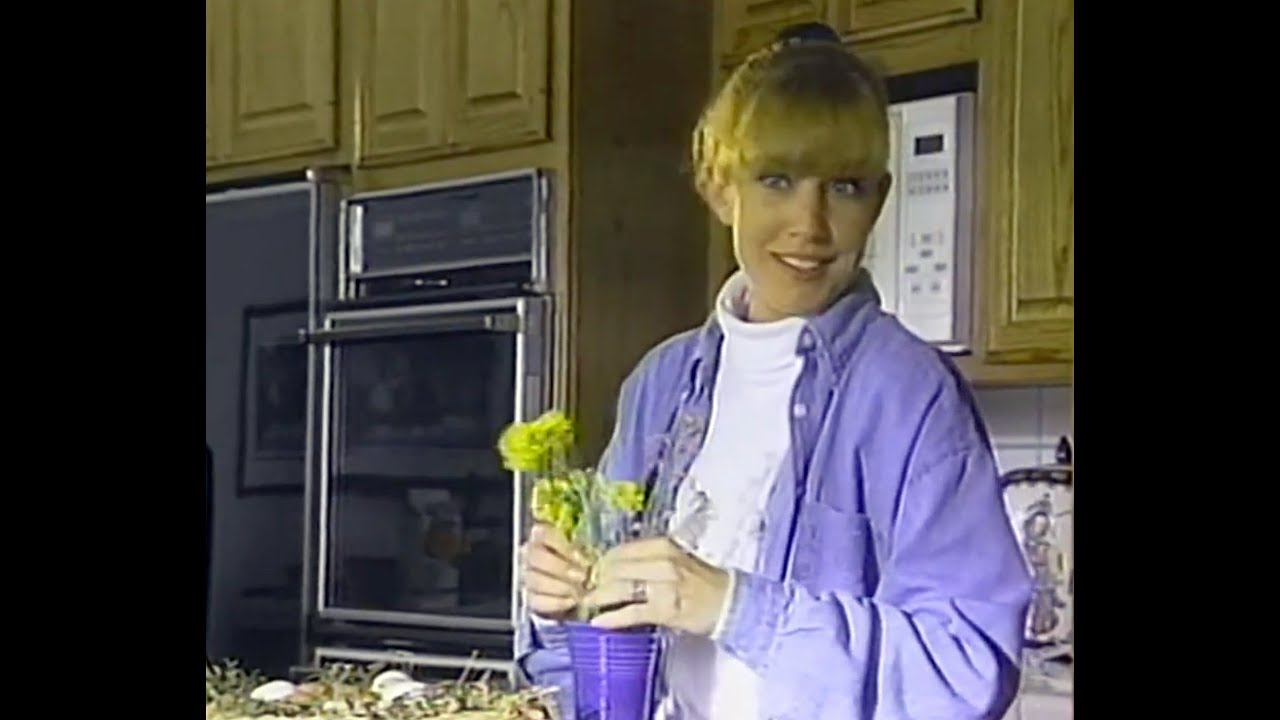 My Little Aliens TV Pilot Dana Plato - YouTube