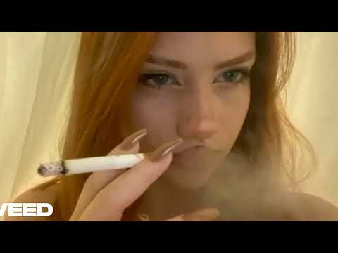 ATİ242 - Yarasalar (Auido Boost)
