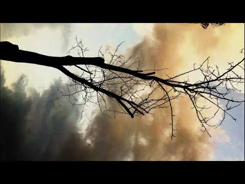 Umut Şahin - Fırtınam #cover