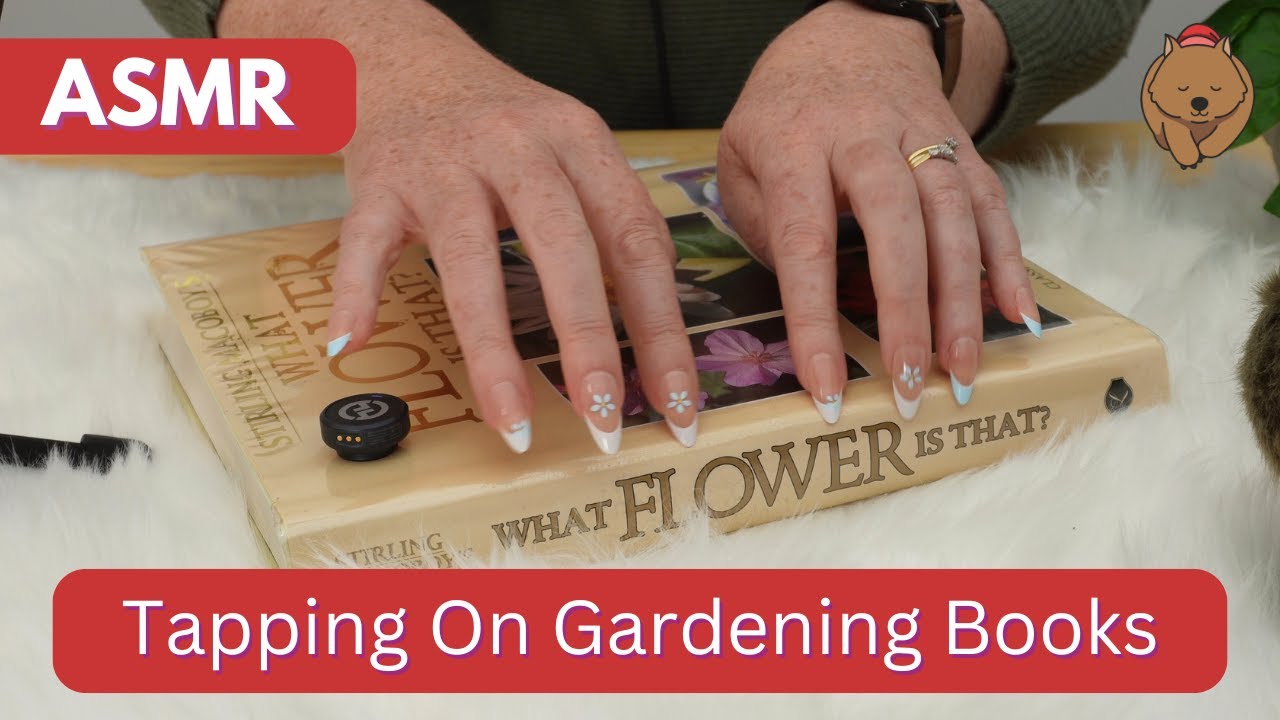 ASMR Book Tapping And Tracing - No Talking - YouTube