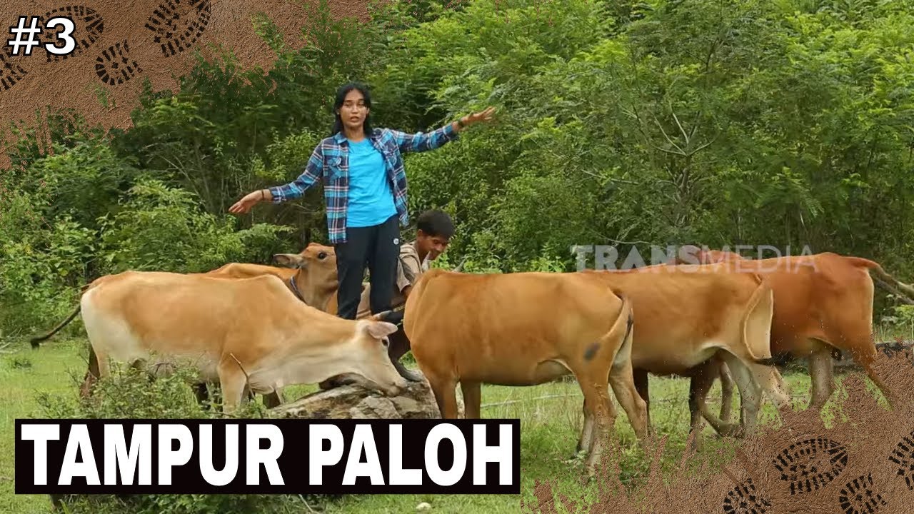 TAMPUR PALOH | JEJAK PETUALANG (10/12/24) Part 3 - YouTube
