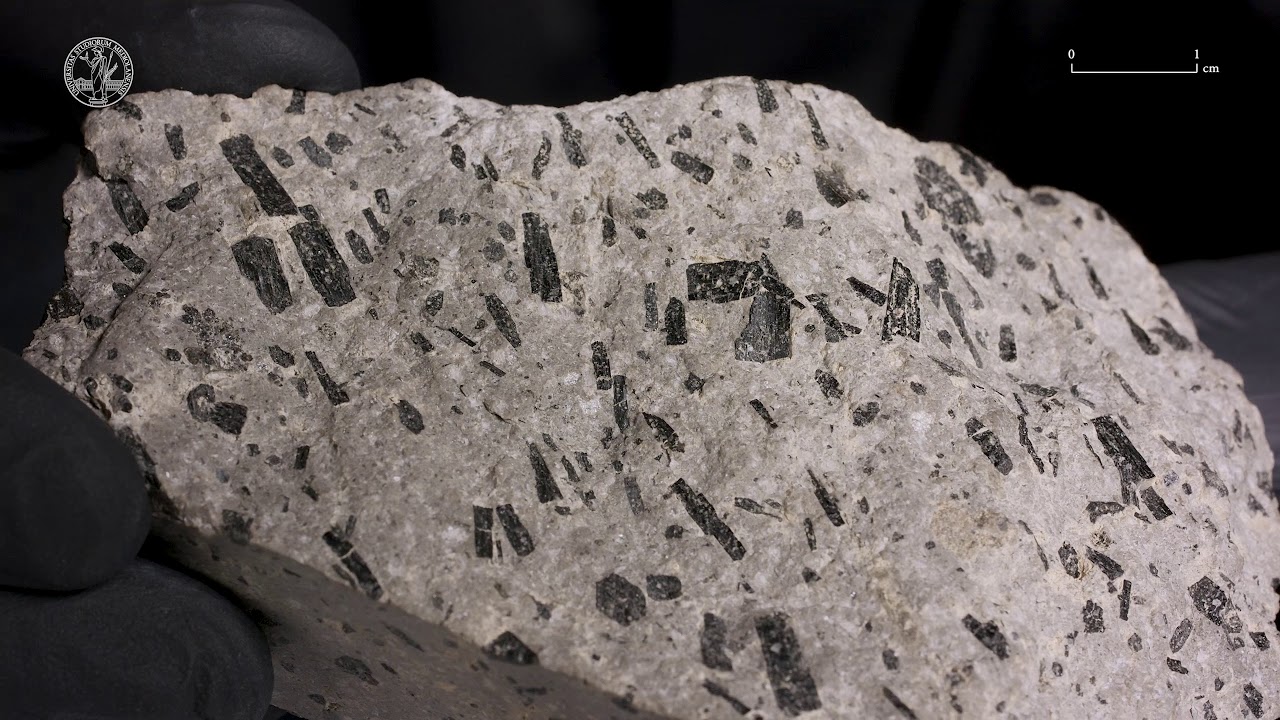 Porphyritic Andesite
