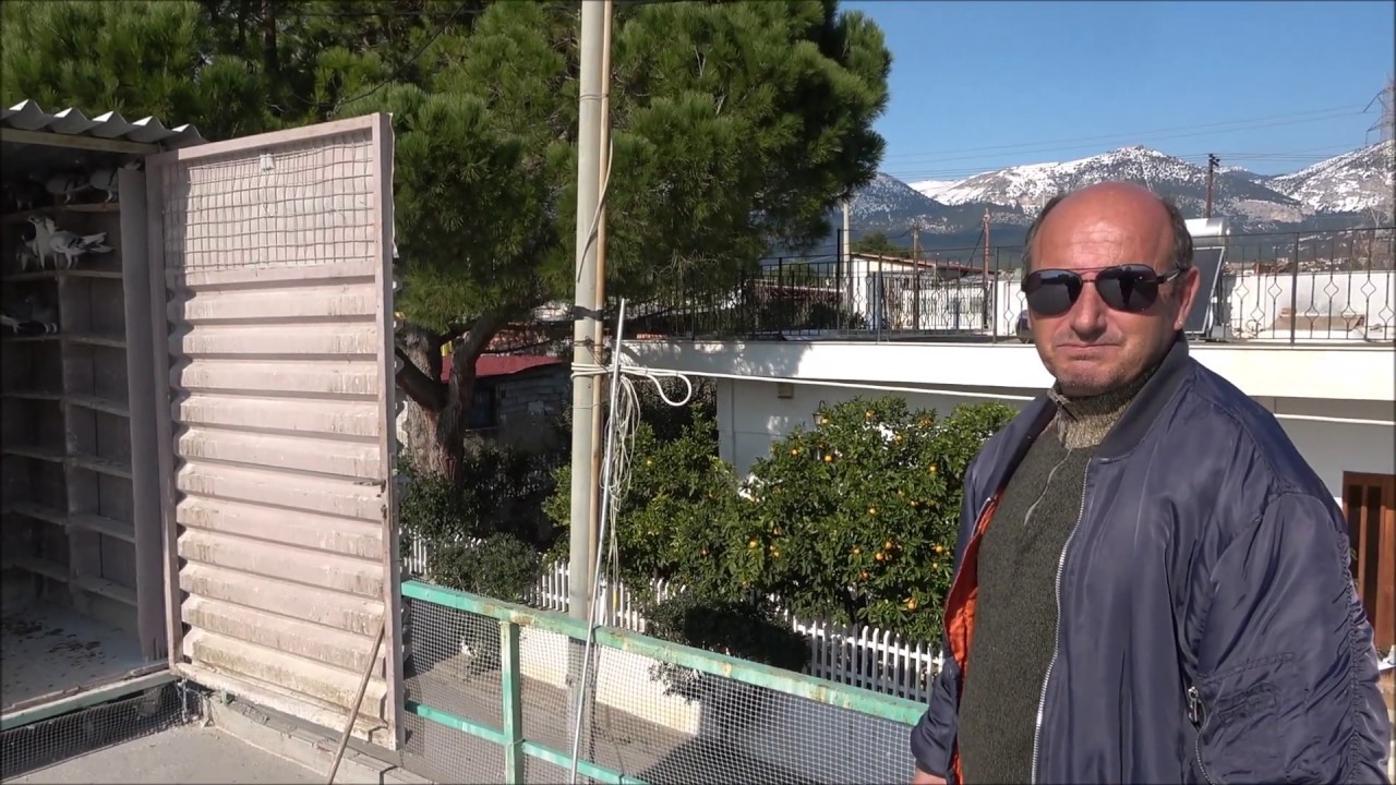 ΚΟΛΕΤΣΗΣ ΠΑΝΑΓΙΩΤΗΣ-ΣΥΛΛΟΓΟΣ ΠΕΡΙΣΤΕΡΑΔΩΝ ΑΧΑΡΝΩΝ 2020 - YouTube