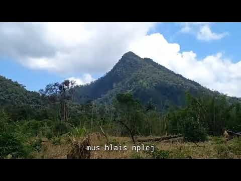 hnub no mus hlais nplej os hmoob sawv daw es lom zem kawg 7/10/2022 - YouTube