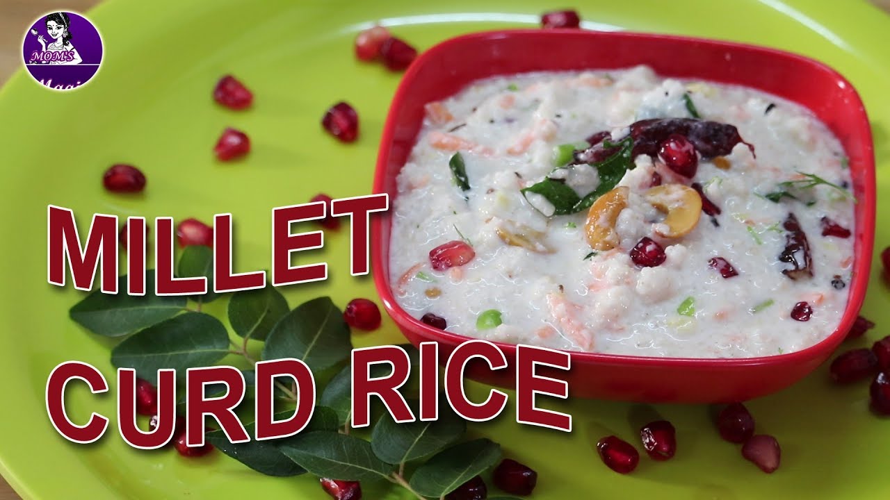 Summer special recipe Millets curd rice \ quick n easy little millet ...