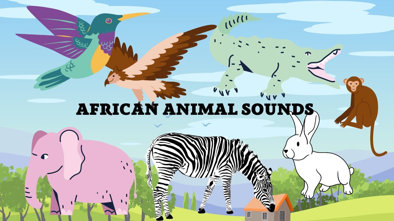 African animals. Animal sounds. 4K Ultra HD - YouTube