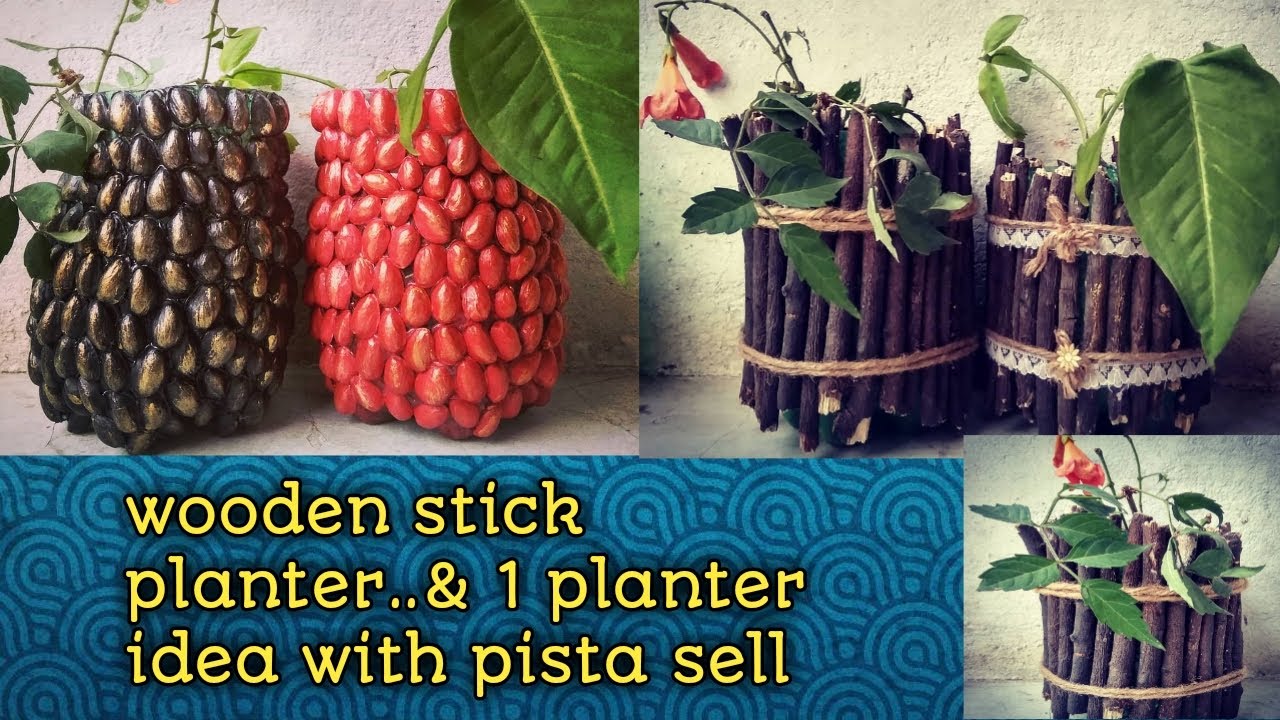woooden stick planter 😊//or pista shell planter idea 😊 - YouTube