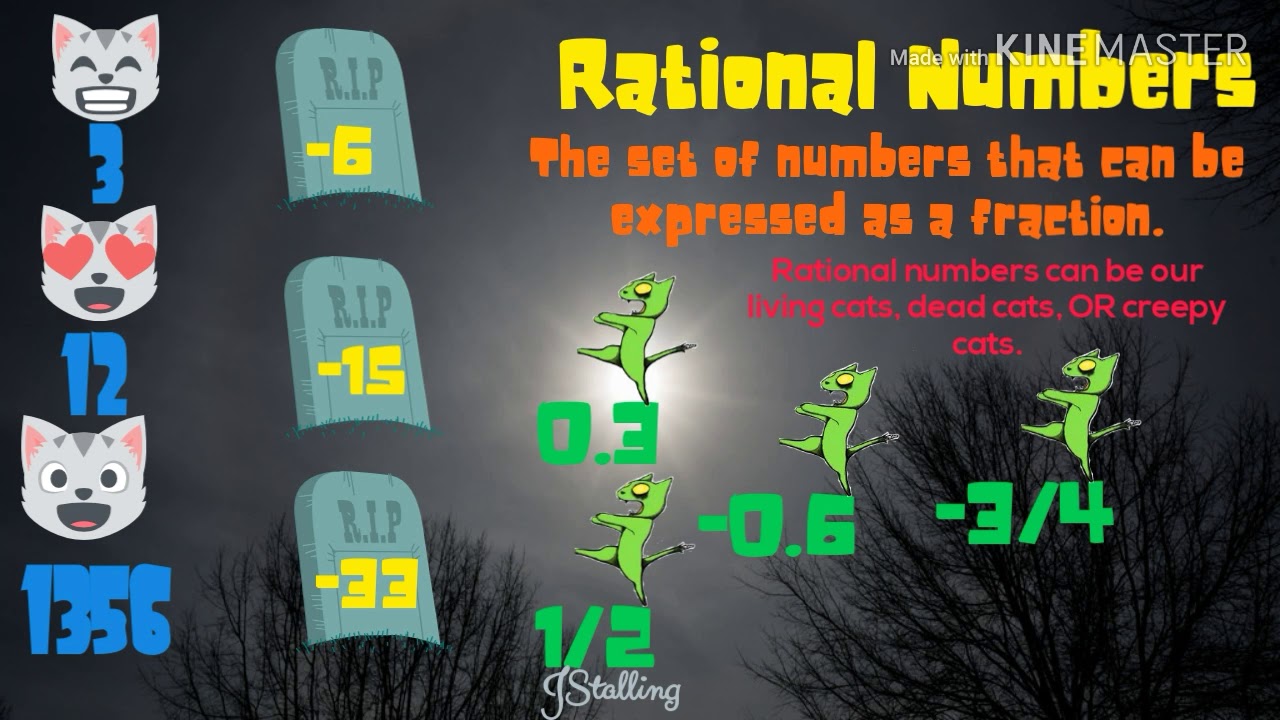 Classifying Numbers - Cats Explain Math - YouTube