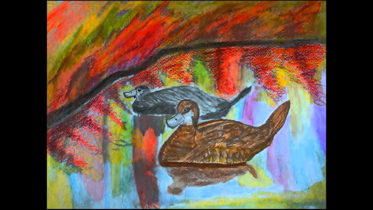 Ducks on fire - watercolour pencils - drawing & painting - for sale ...
