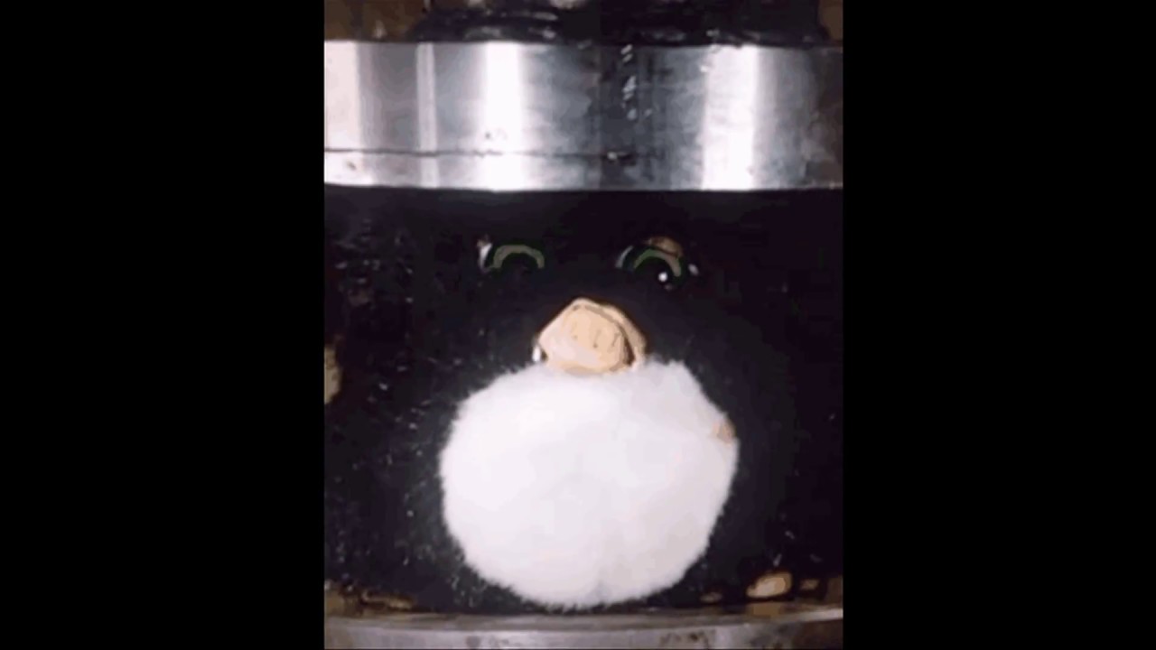 furby feels crushed by life's burden (super sad version) - YouTube