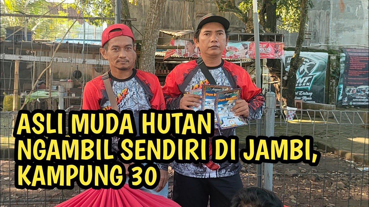 Muda hutan asli || juara di tiket utama - YouTube