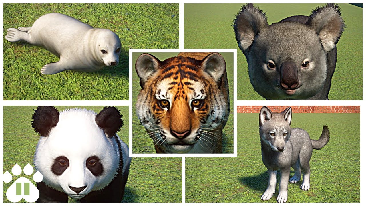 ALL 69 BABY ANIMALS! | Planet Zoo - YouTube