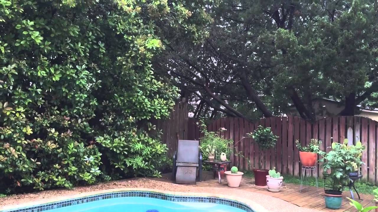 Flying termite hatch in the backyard - YouTube