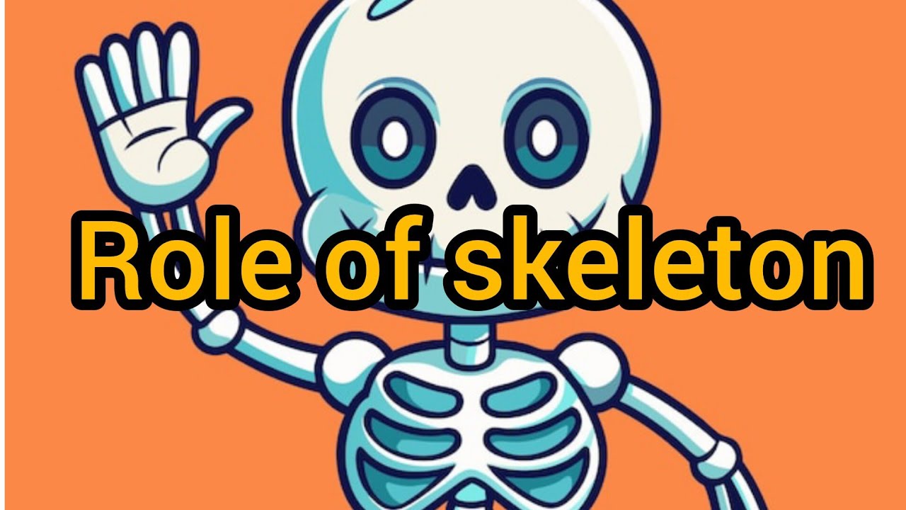Science g4(Role of skeleton? - YouTube