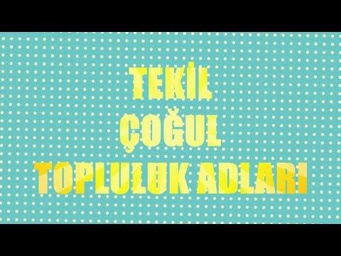 TEKİL-ÇOĞUL-TOPLULUK ADLARI
