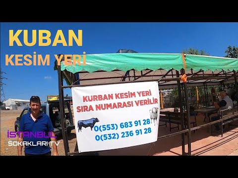 Kurban Pazarı -21 | 2020 Kurban Fiyatları | KURBAN KESİM ALANI | İstanbul Sokakları TV