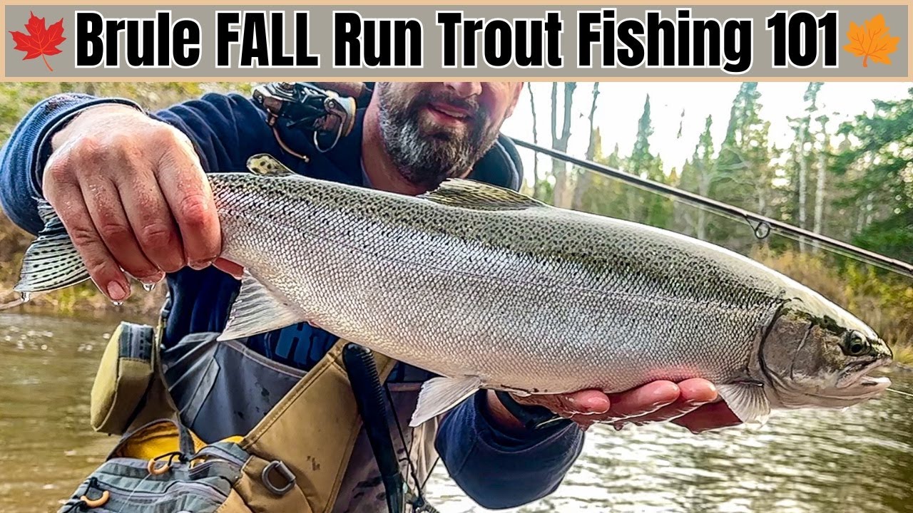 How To Catch Your FIRST Fish On The Brule River! (Fall Fishing) - YouTube