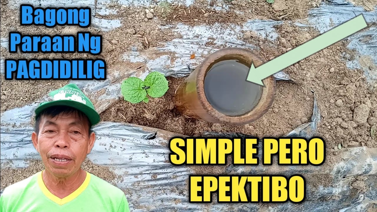 BAGO AT SIMPLENG PARAAN NG PAGDIDILIG PARA MAKATIPID SA ORAS AT PAGGAWA ...