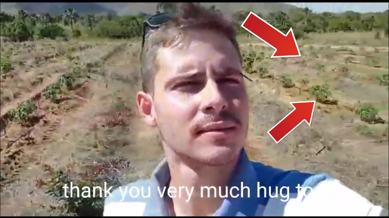 Adubação Inicial de mamão e irrigação com Gabriel Rubin. Initial ...