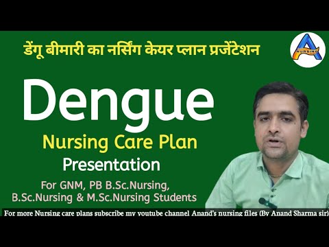 Assignment of Dengue ncp//Dengue ka Nursing care plan presentation ...