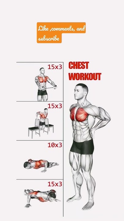 Chest 💥💯 Workout💥💯 💪 At Home Gymlovers ️💪 Baghpat Youtube