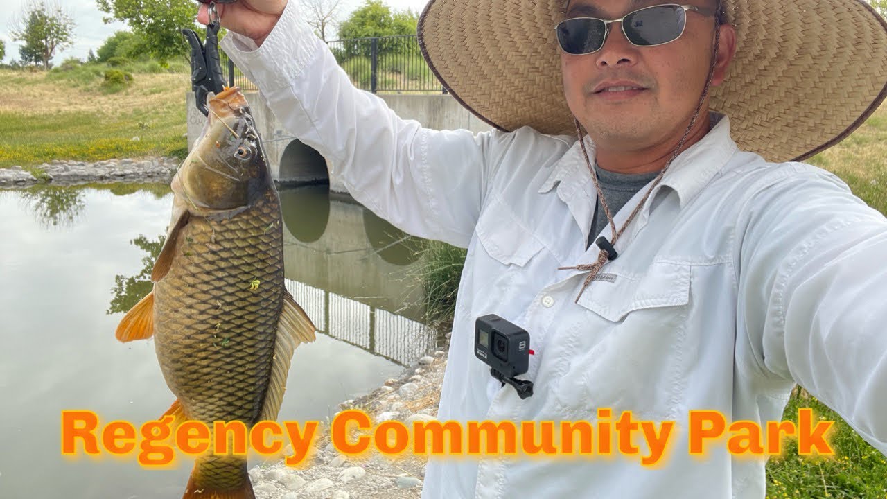 Episode 126: Fishing in Natomas, Regency Community Park - YouTube