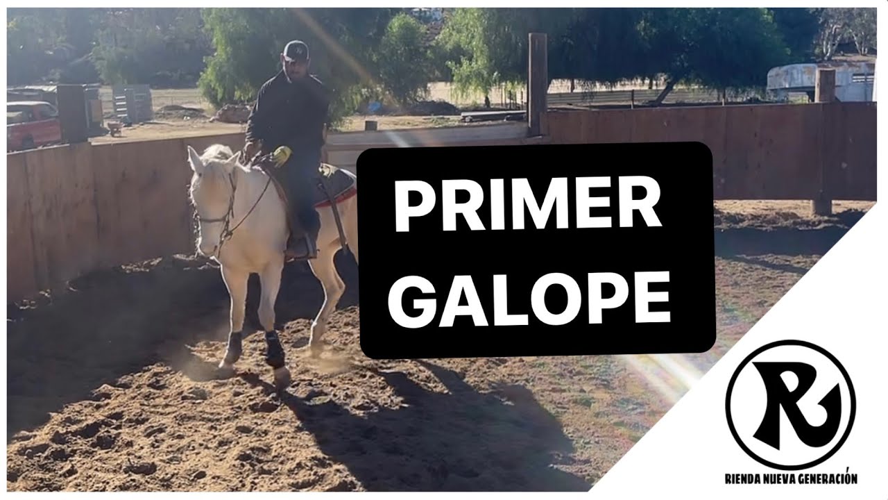Primer Día Al Galope ¿Como Galopar Tu caballo? Iniciando Caballo ...