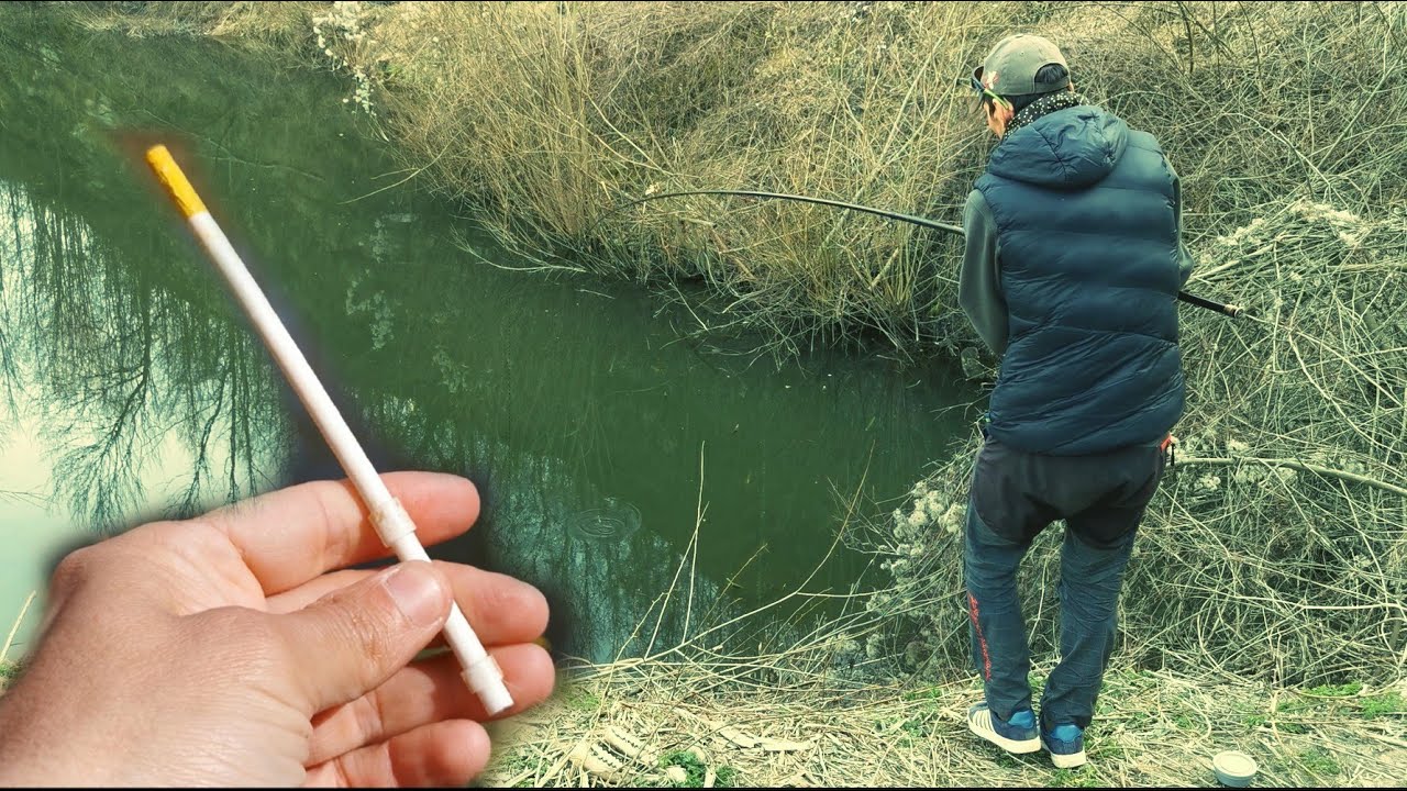 Pescuit Caras SĂLBATIC La PLUTĂ la BALTA DIN PĂDURE - Pescuit cu Râme ...