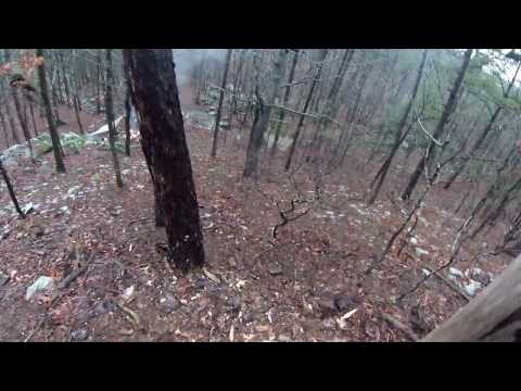 Timber people