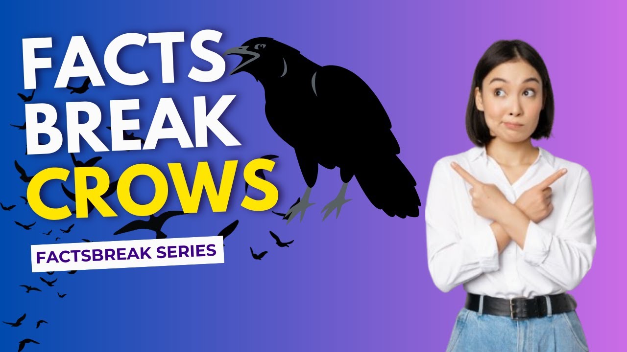 Did You Know A Group Of Crows Is Called A “murder” - Facts Break Series ...