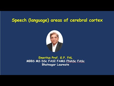 Speech (language) area of cerebral cortex. - YouTube