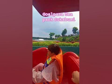 𝙶𝚘𝚊𝚕𝚙𝚊𝚛𝚊 𝚃𝚎𝚊𝚙𝚊𝚛𝚔 𝚂𝚞𝚔𝚊𝚋𝚞𝚖𝚒#shorts - YouTube