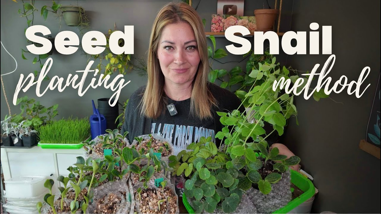 Seed Snail || Trying the new, viral seed starting method! - YouTube