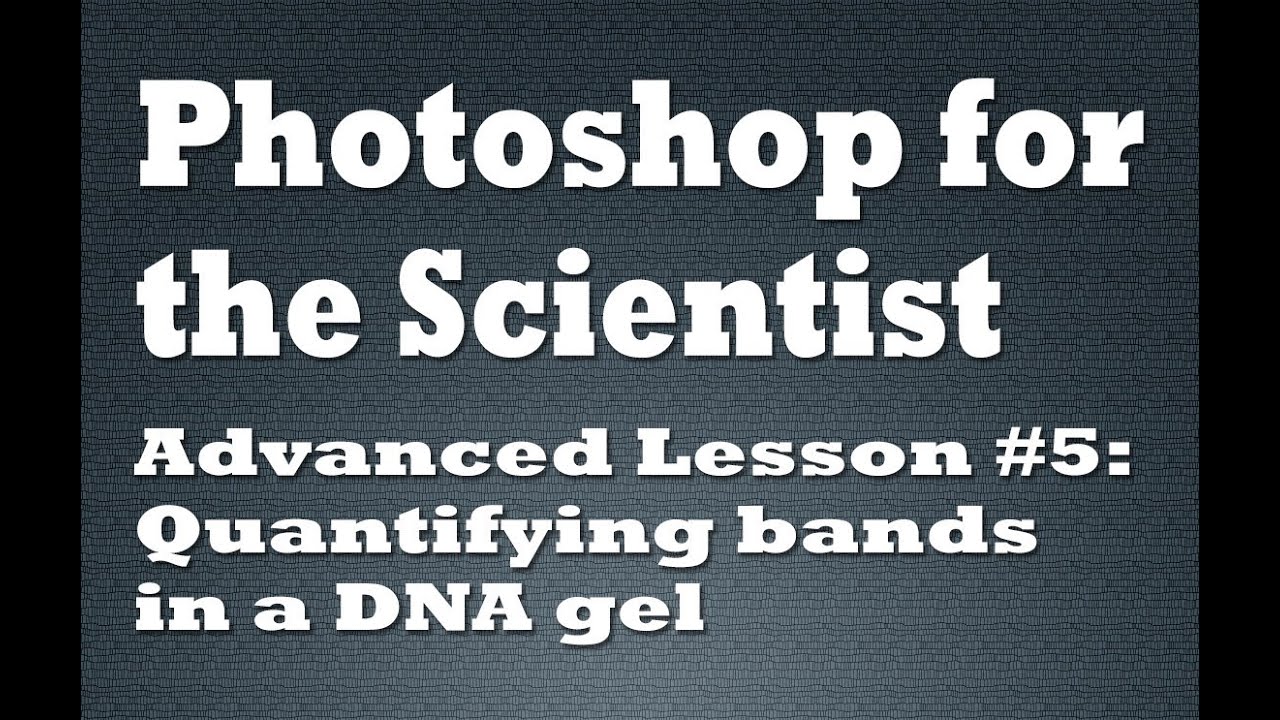 Using Photoshop CC to quantify band intensity in a DNA gel - YouTube
