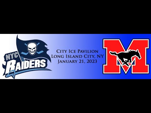 [LIAHL 14U Tier III TB] NYC Raiders vs. Long Island Mustangs - YouTube