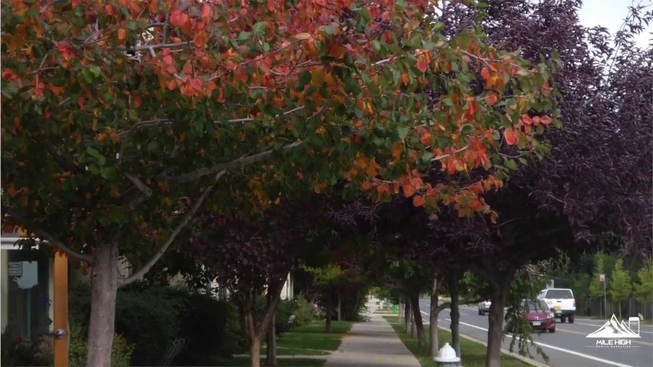 Mapleton Hill Neighborhood Boulder - YouTube