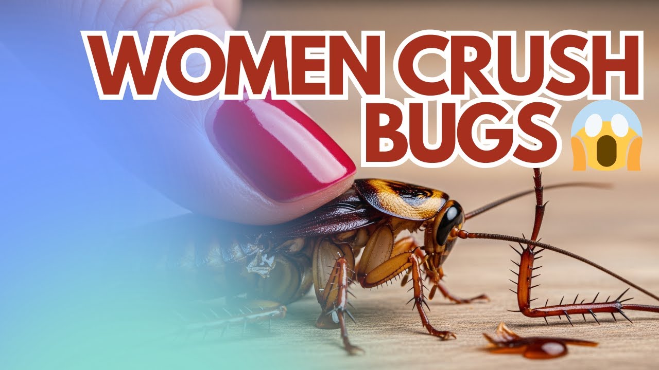 💅 Women Can Crush Bugs?! 10 Insects Smushed in Ultra-Close ASMR 🪳🐝🕷️ ...