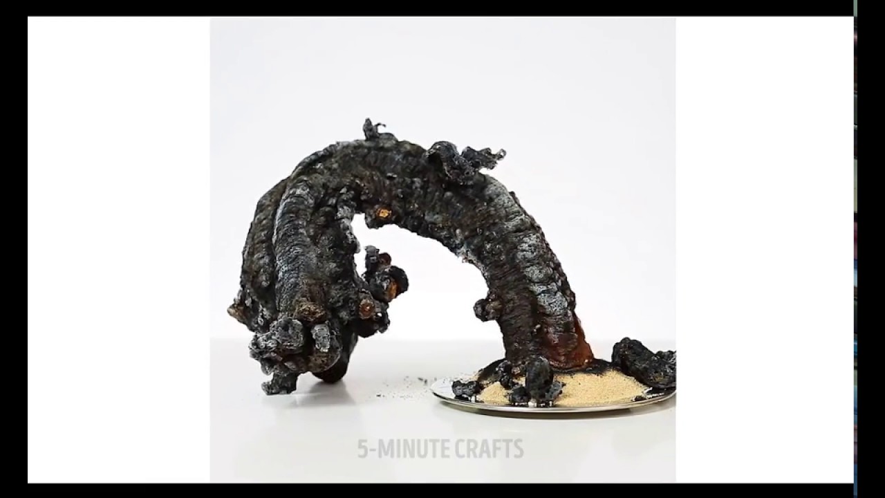 cool science experiments for kids and adults - YouTube