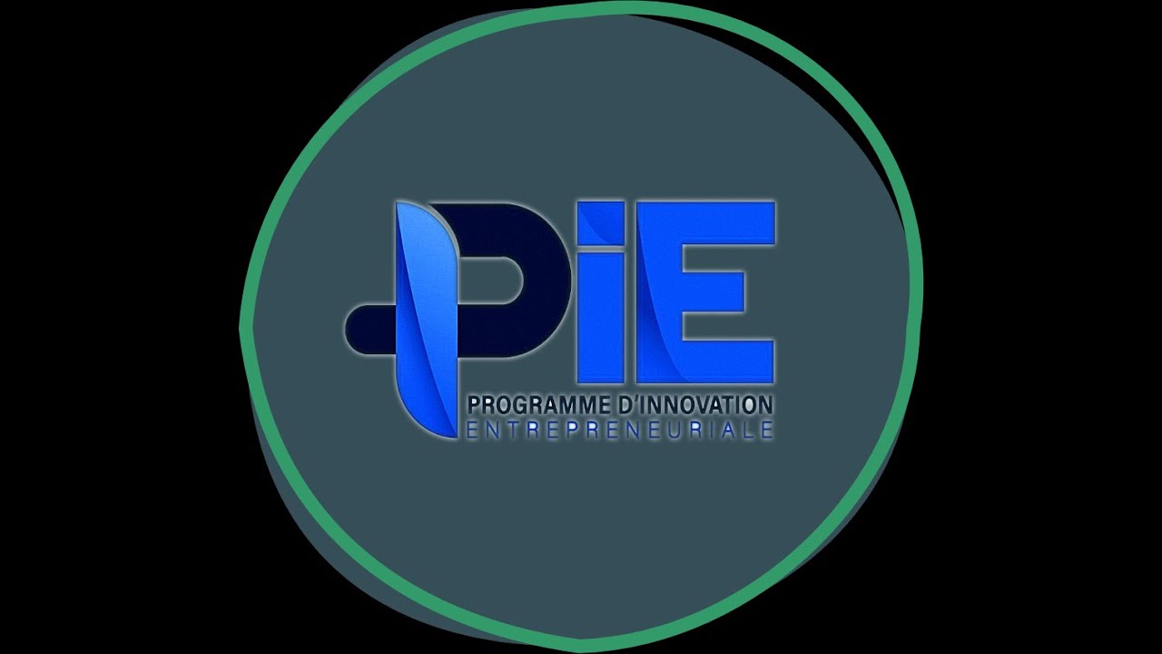 Présentation Des 4 Dernières Séance Du Module de PIE (Programme d ...