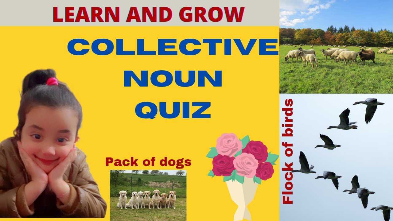 Collective Noun Quiz | English Grammar Quiz | Collective noun GK ...