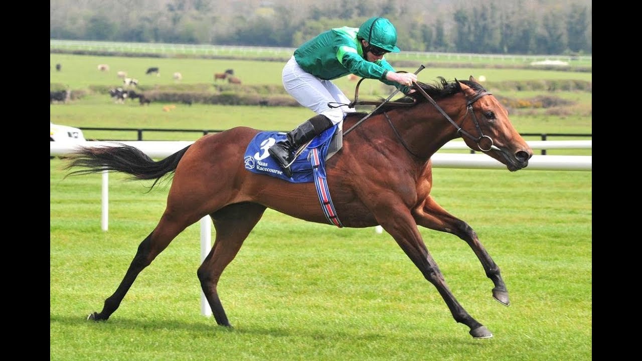 Monarch Of Egypt (Peter M. Brant - Michael B. Tabor) - YouTube