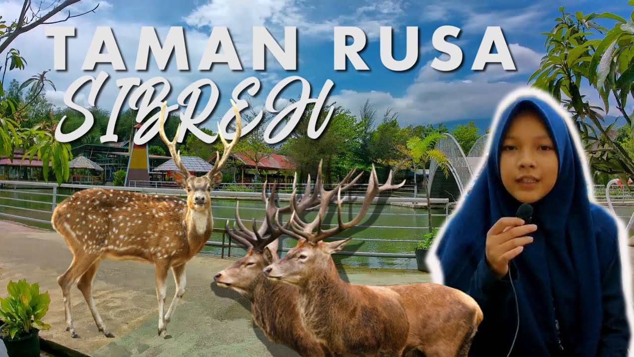TAMAN RUSA SIBREH ACEH BESAR OBJEK WISATA ALAM - YouTube