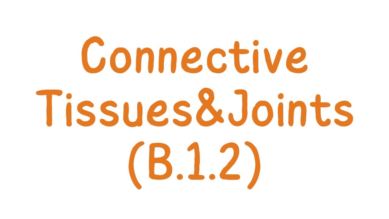 IB Sports Science- Connective Tissues and Articulations Explained - YouTube