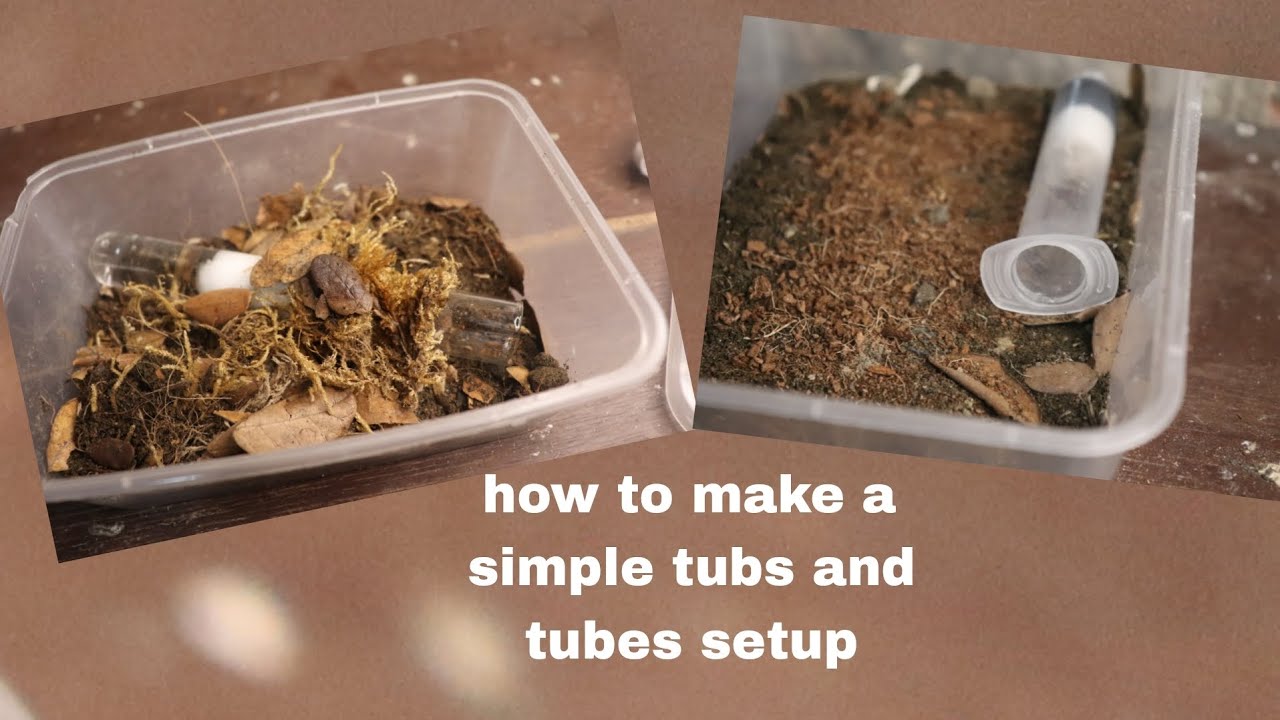 How to make a simple tubs and tubes setup for small colony and semi ...