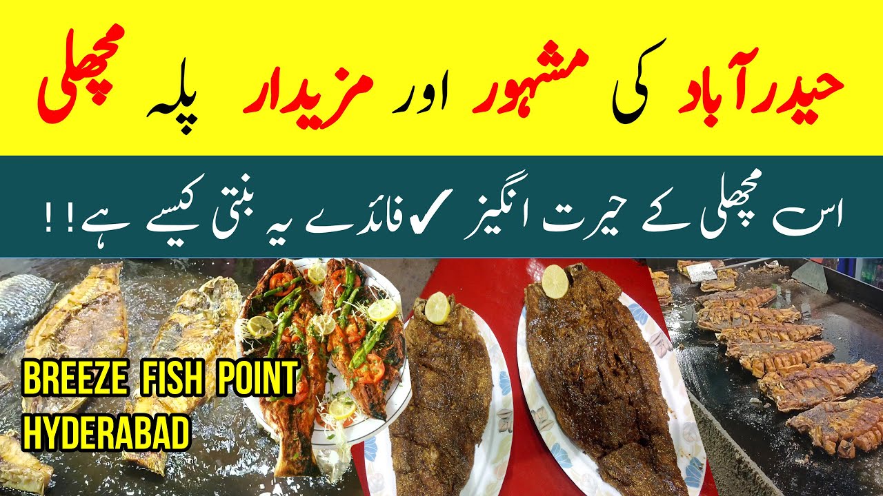 Famous Breeze Fish Point Hyderabad | Crazy Street Food Hyderabad | Fish ...