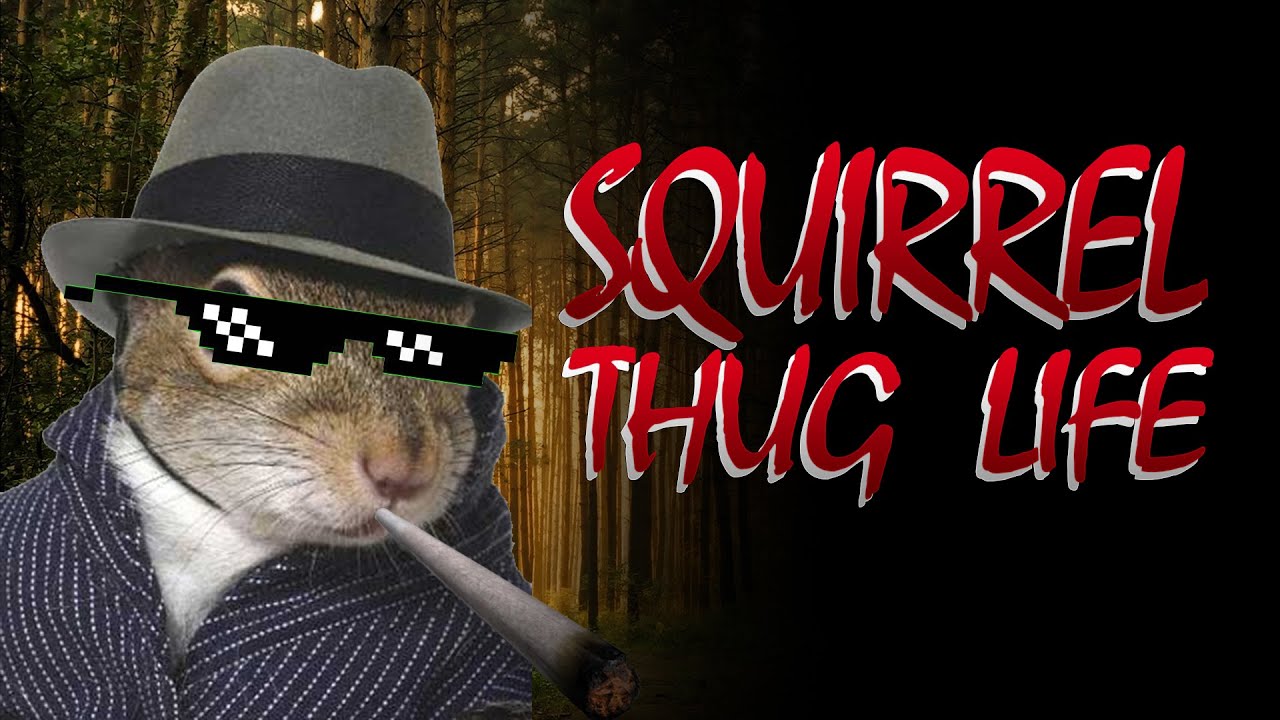Ninja Thug Life